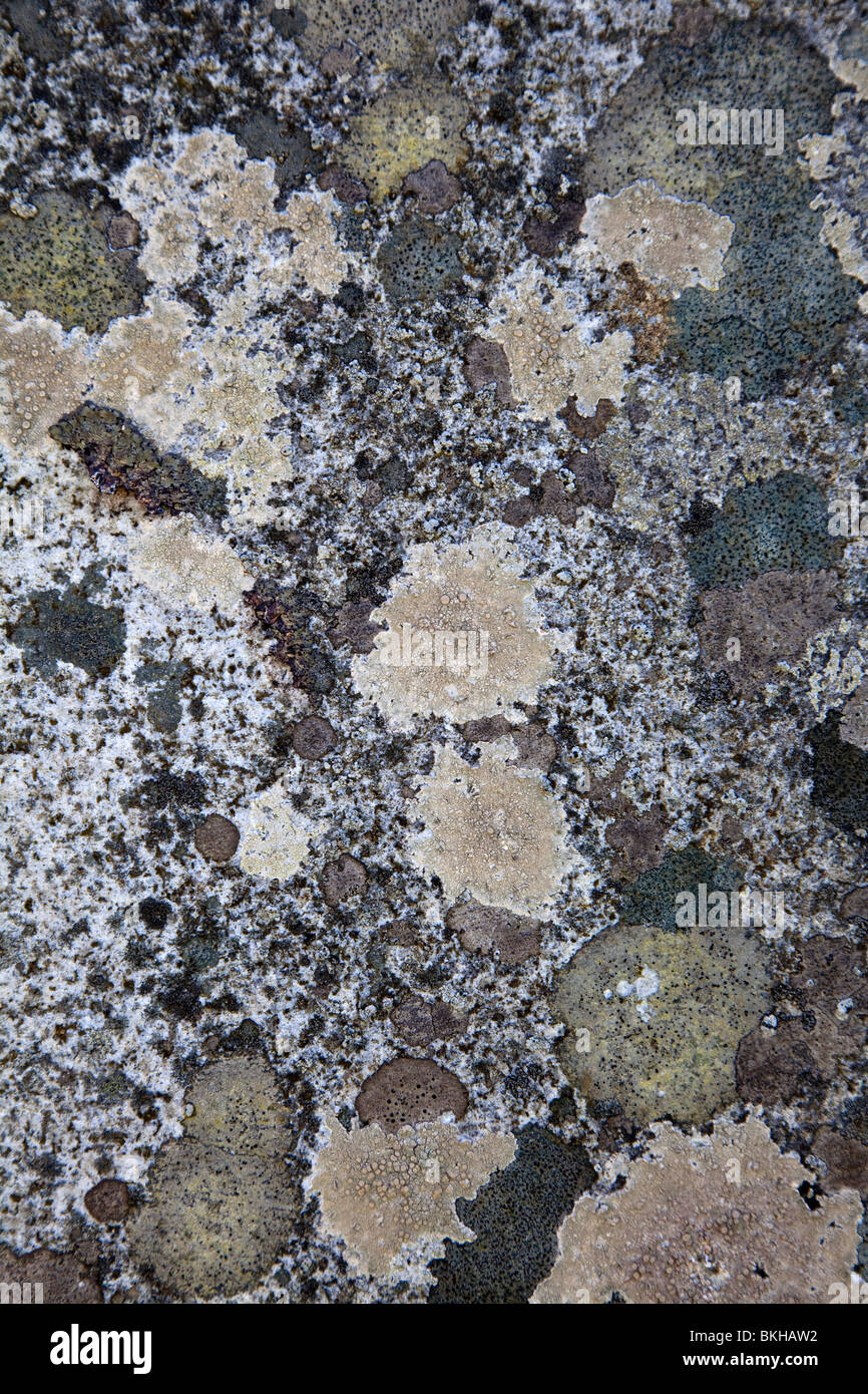 Forming Patterns High Resolution Stock Photography and Images - Alamy