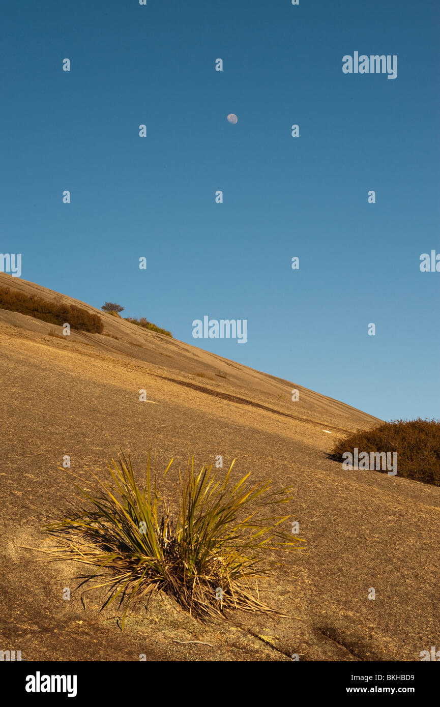 Bald Rock, Tenterfield, New South Wales, Australia Stock Photo - Alamy