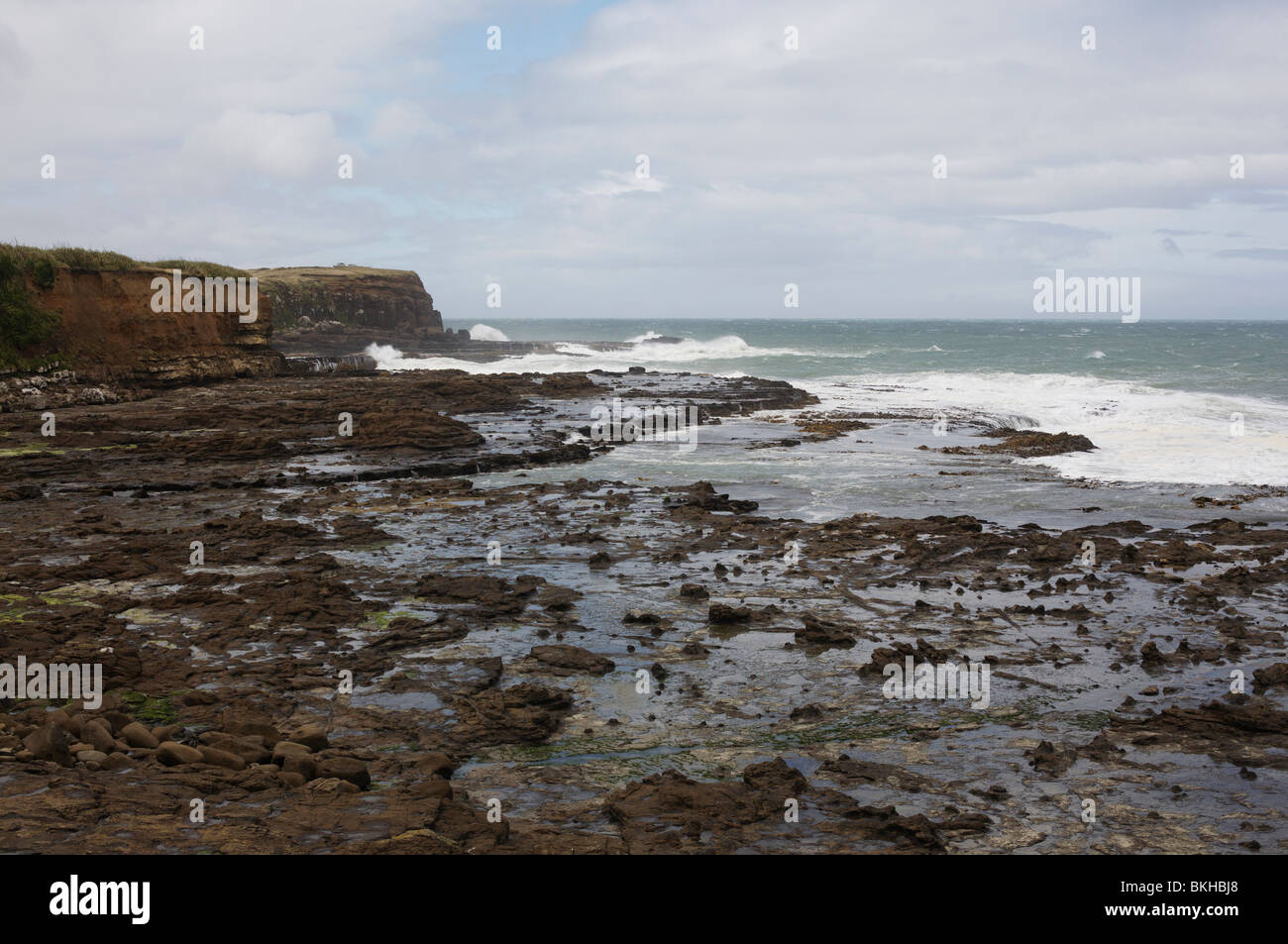 Curio Bay, South Island, New Zealand Stock Photo - Alamy