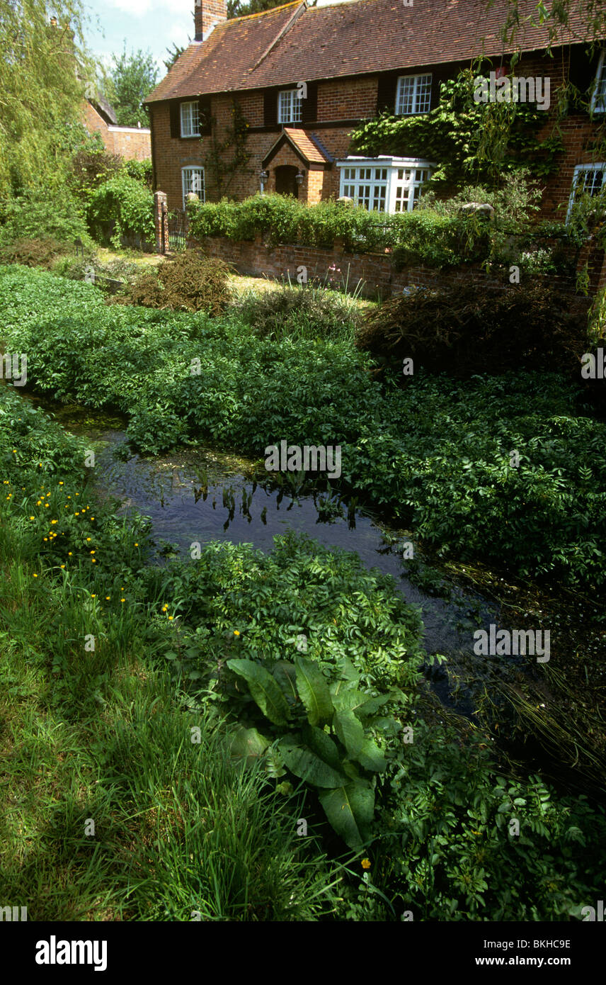 UK, England, Hampshire, Rockbourne Stock Photo - Alamy