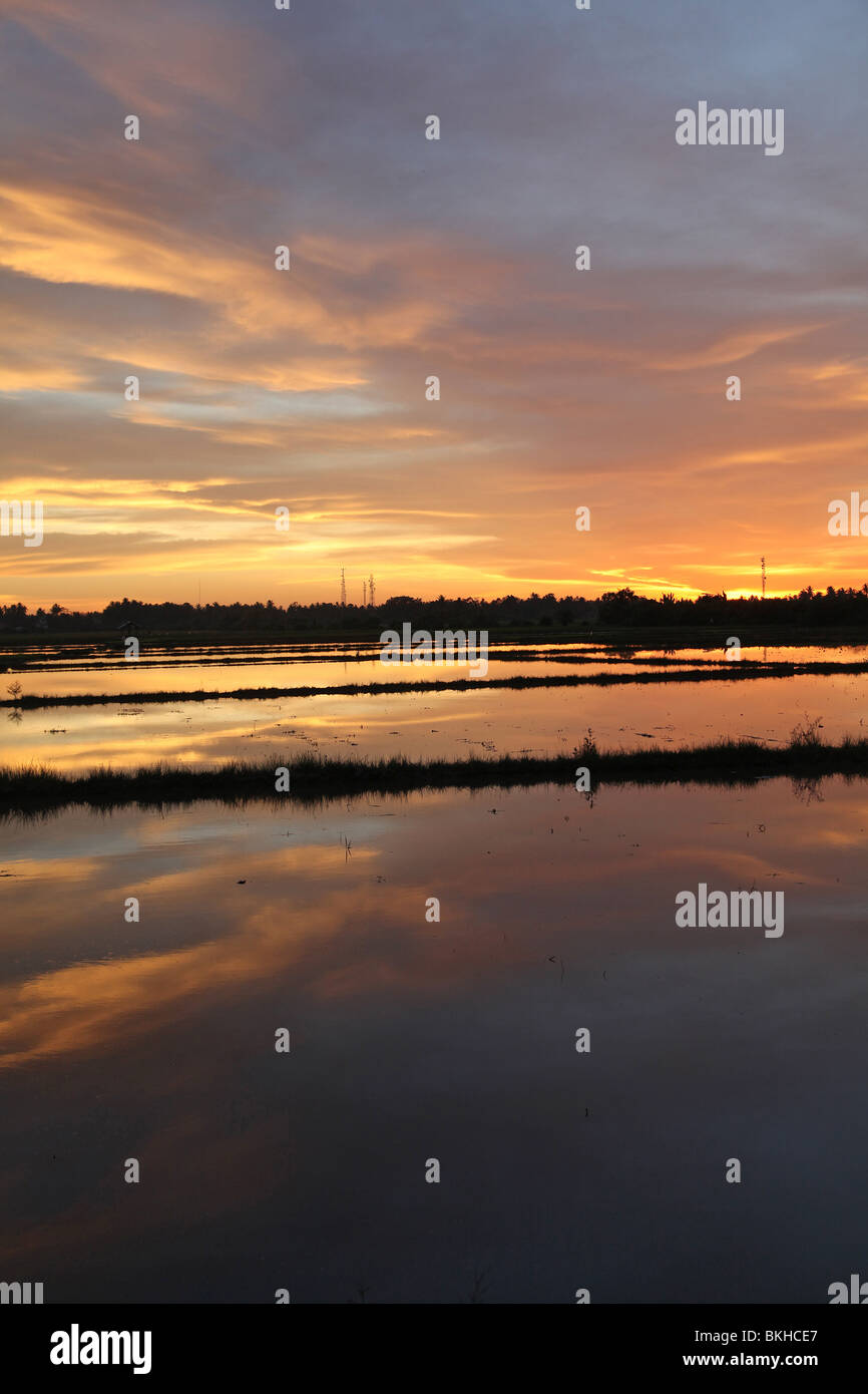Sunset over rice paddy, Padang, Sumatra, Indonesia Stock Photo - Alamy