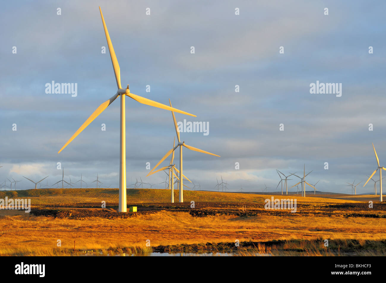 Whitelee Windfarm at Sunset Stock Photo - Alamy