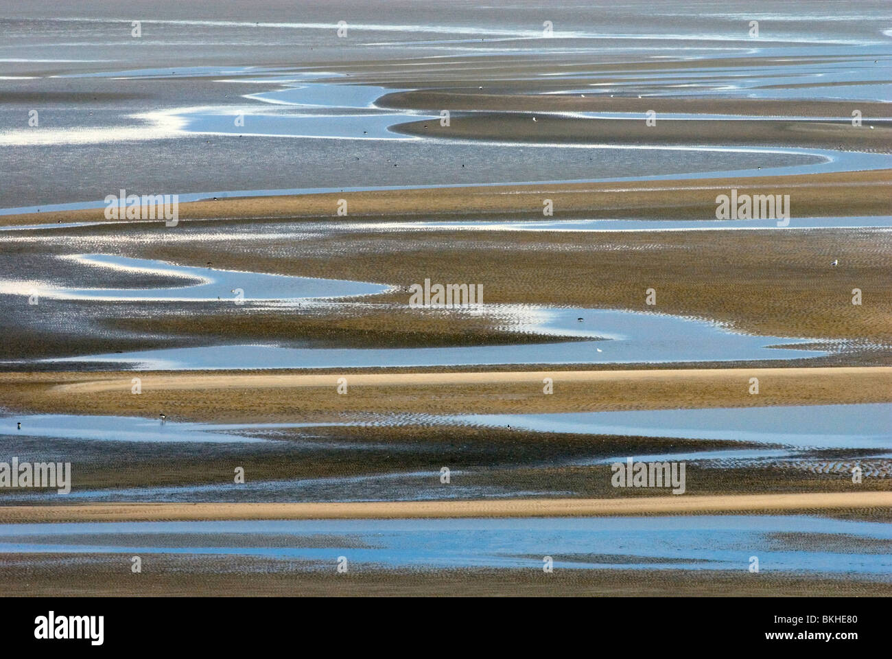 Slikken van Voorne Stock Photo - Alamy