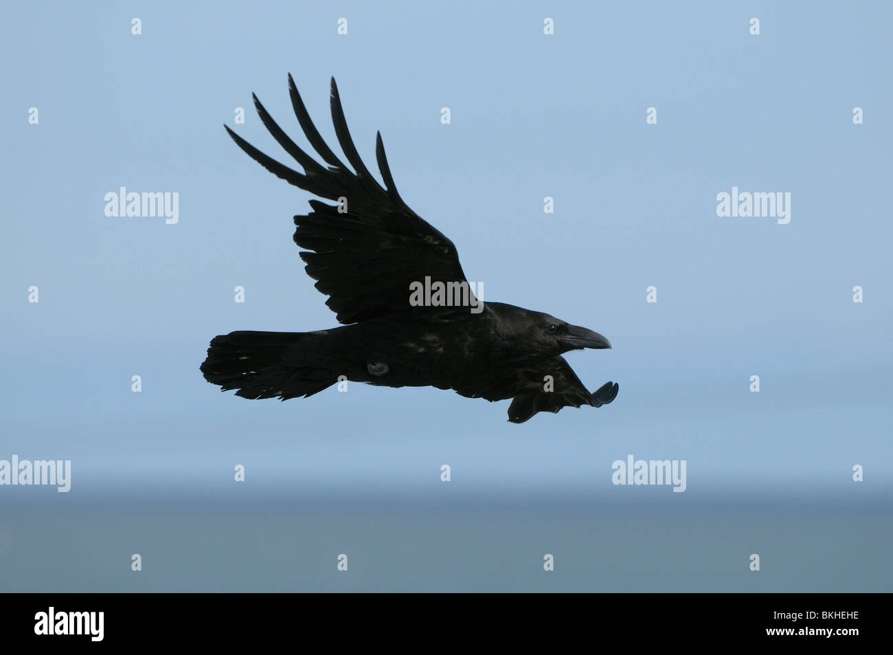 Vliegbeeld High Resolution Stock Photography and Images - Alamy