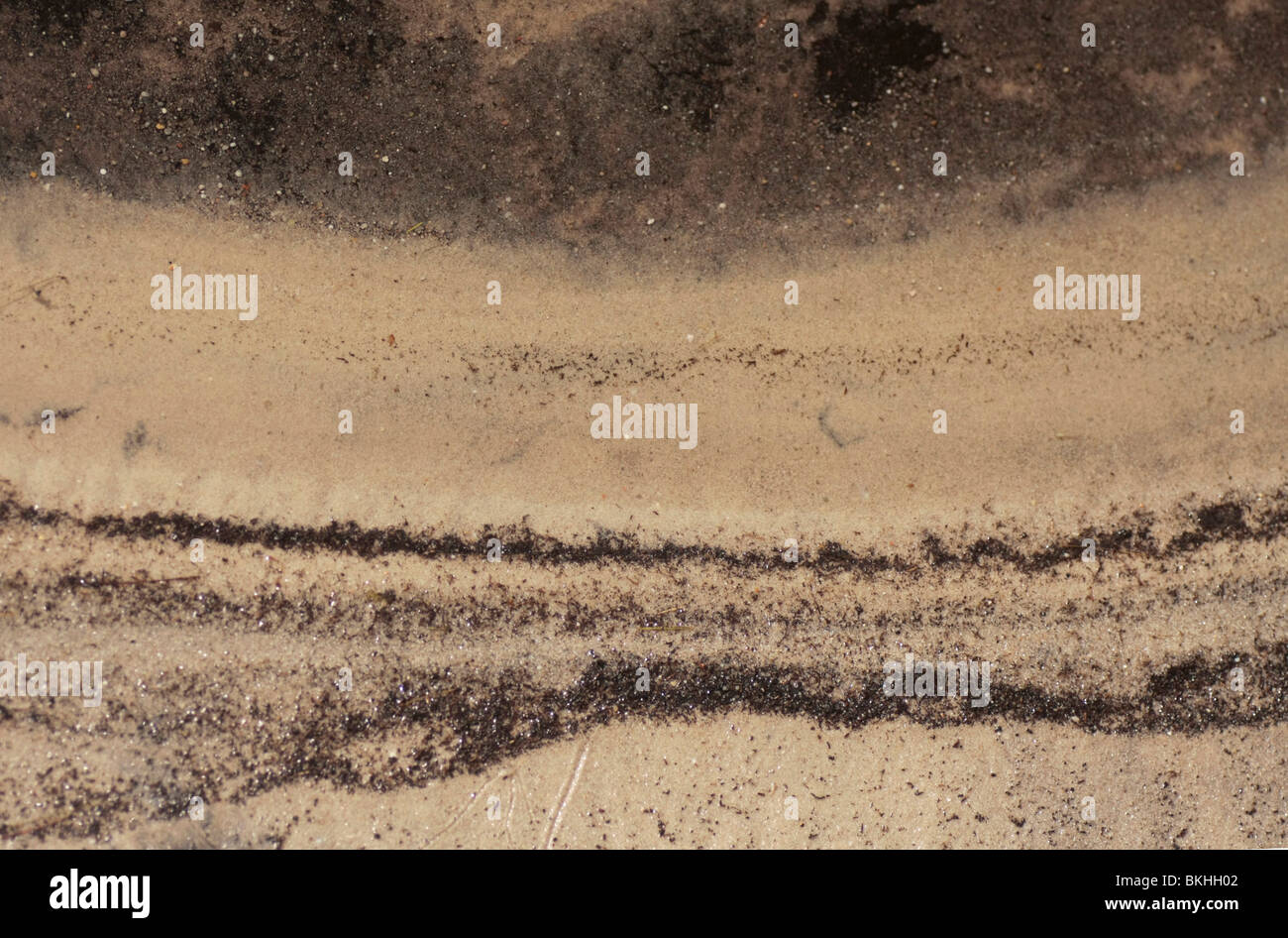 Door het heldere schone water in het ven zie je de zandbodem; Clear ...