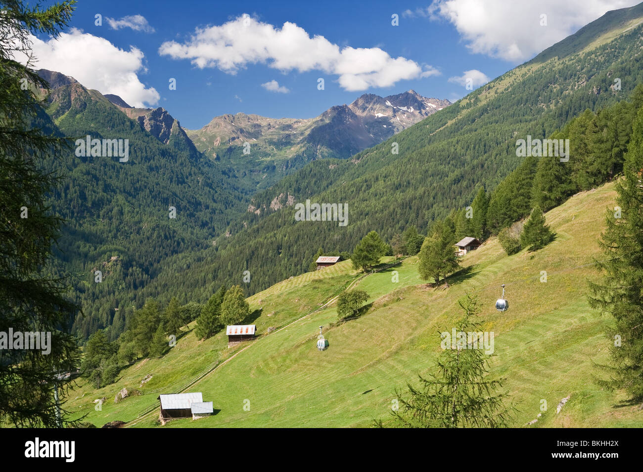 summer view of Pejo valley in Trentino, Italy Stock Photo - Alamy