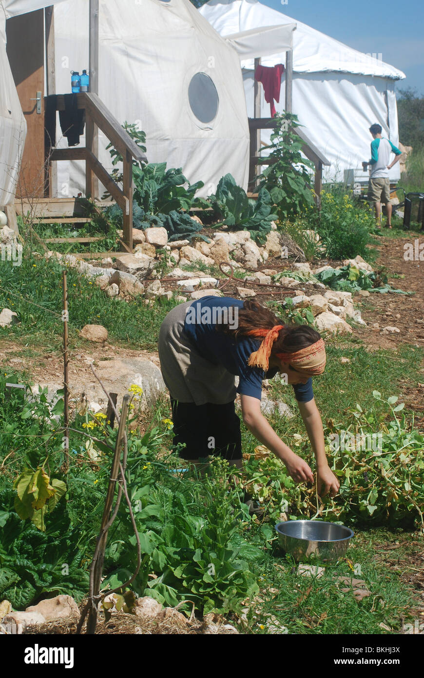 Israel, Ecological farm, Organic farming Stock Photo - Alamy