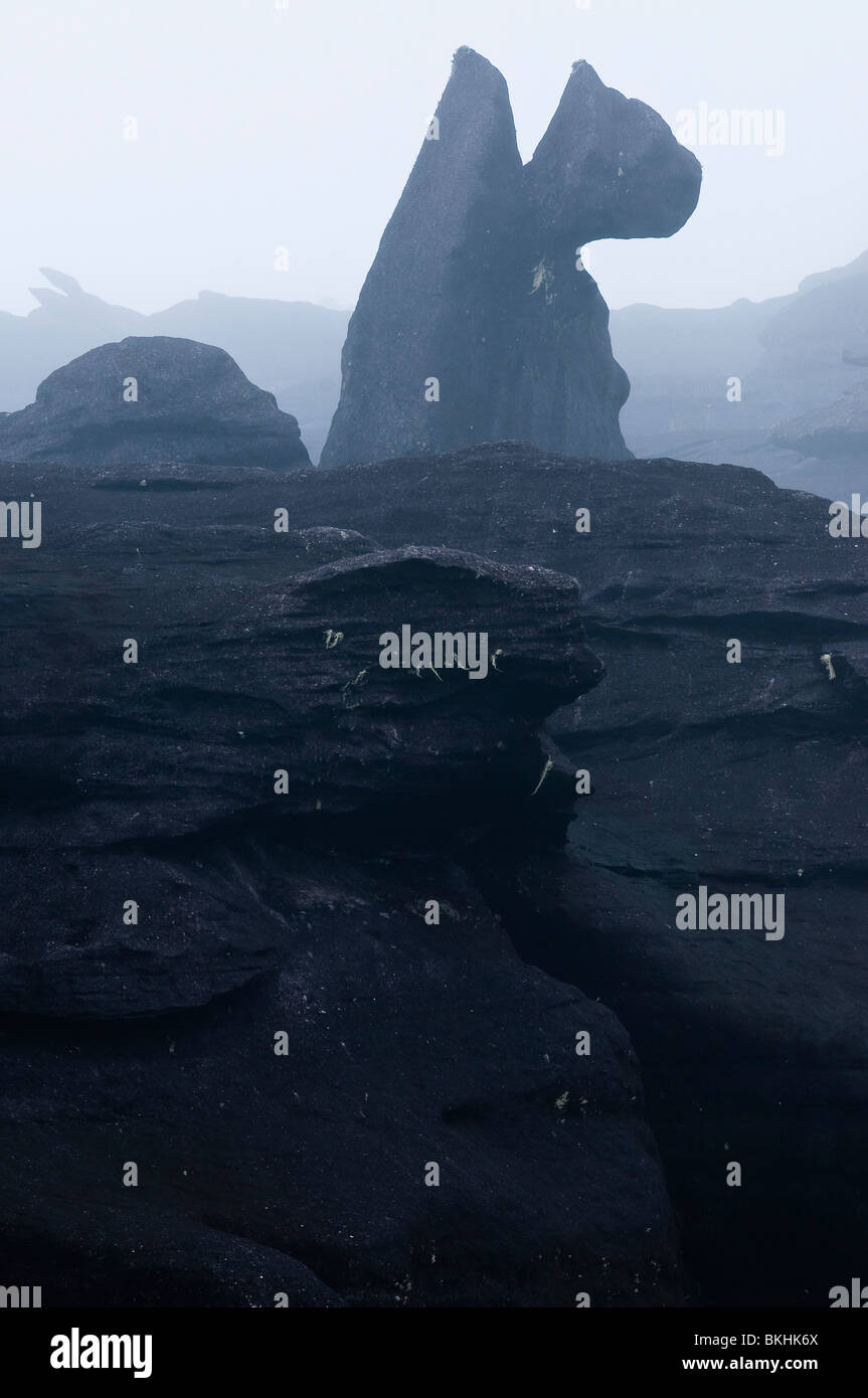 Roraima brazil hi-res stock photography and images - Alamy
