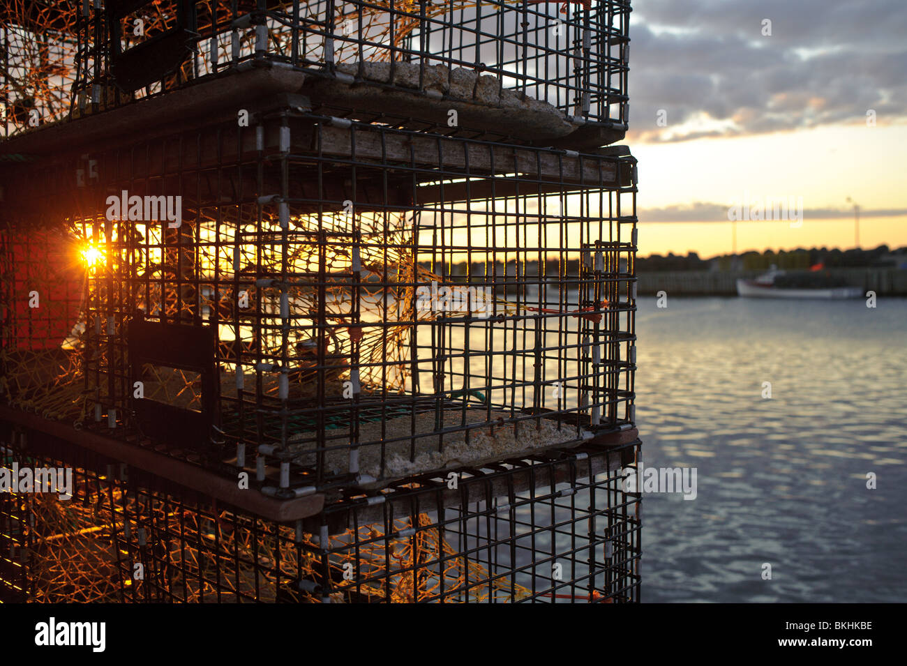 Lobster traps and buoys at sunset on Escuminac Wharf on Miramichi Bay ...
