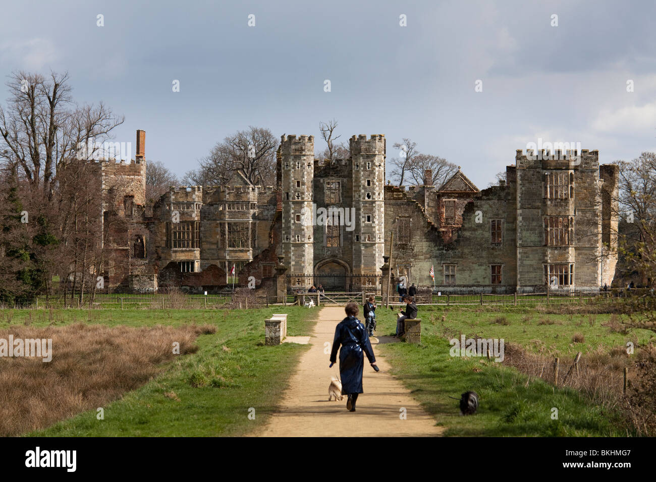 The ruins of the historic tudor house Cowdray House at Midhurst Stock ...