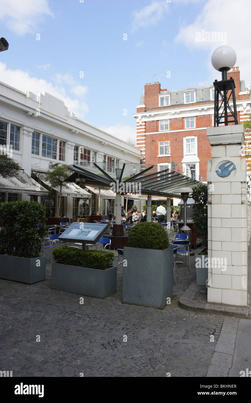 Bluebird chelsea hi-res stock photography and images - Alamy