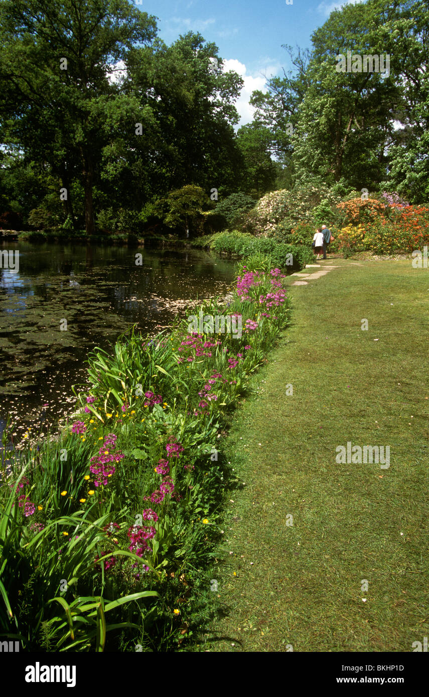 UK, England, Hampshire, Exbury Gardens, lakeside, flowers in springtime ...