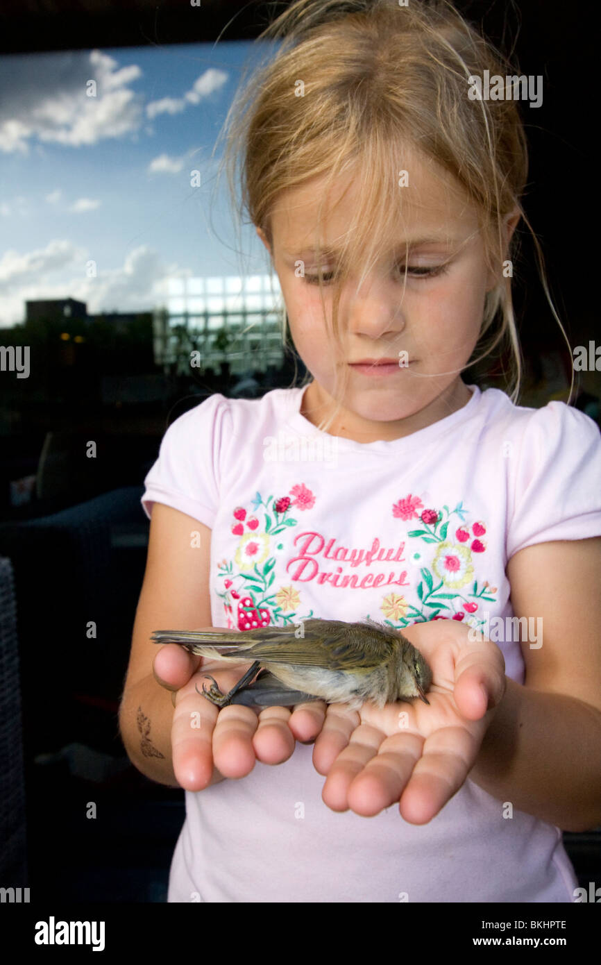 Gebroken nek hi-res stock photography and images - Alamy