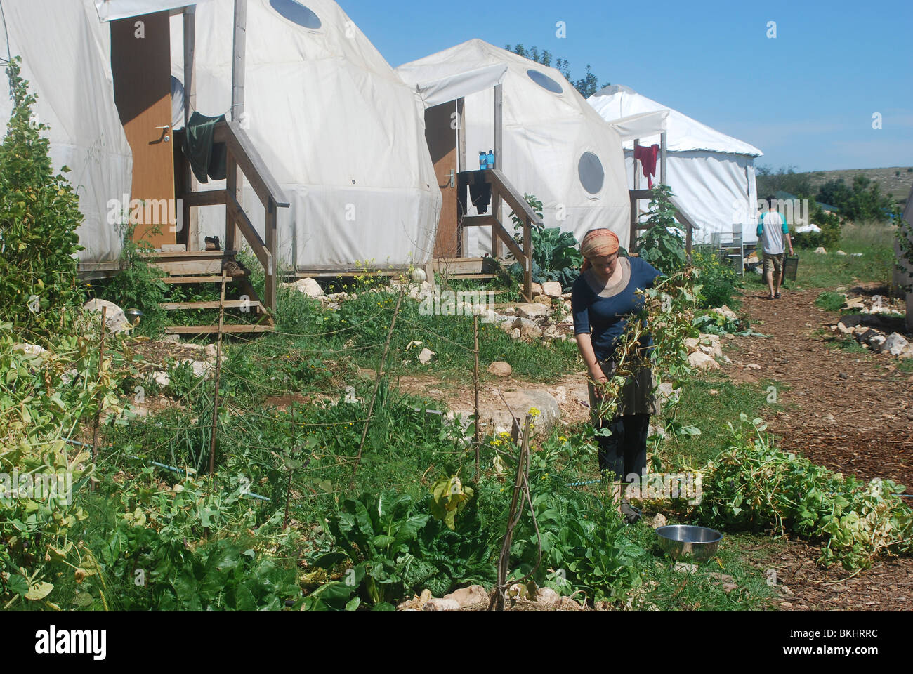 Israel, Ecological farm, Organic farming Stock Photo - Alamy