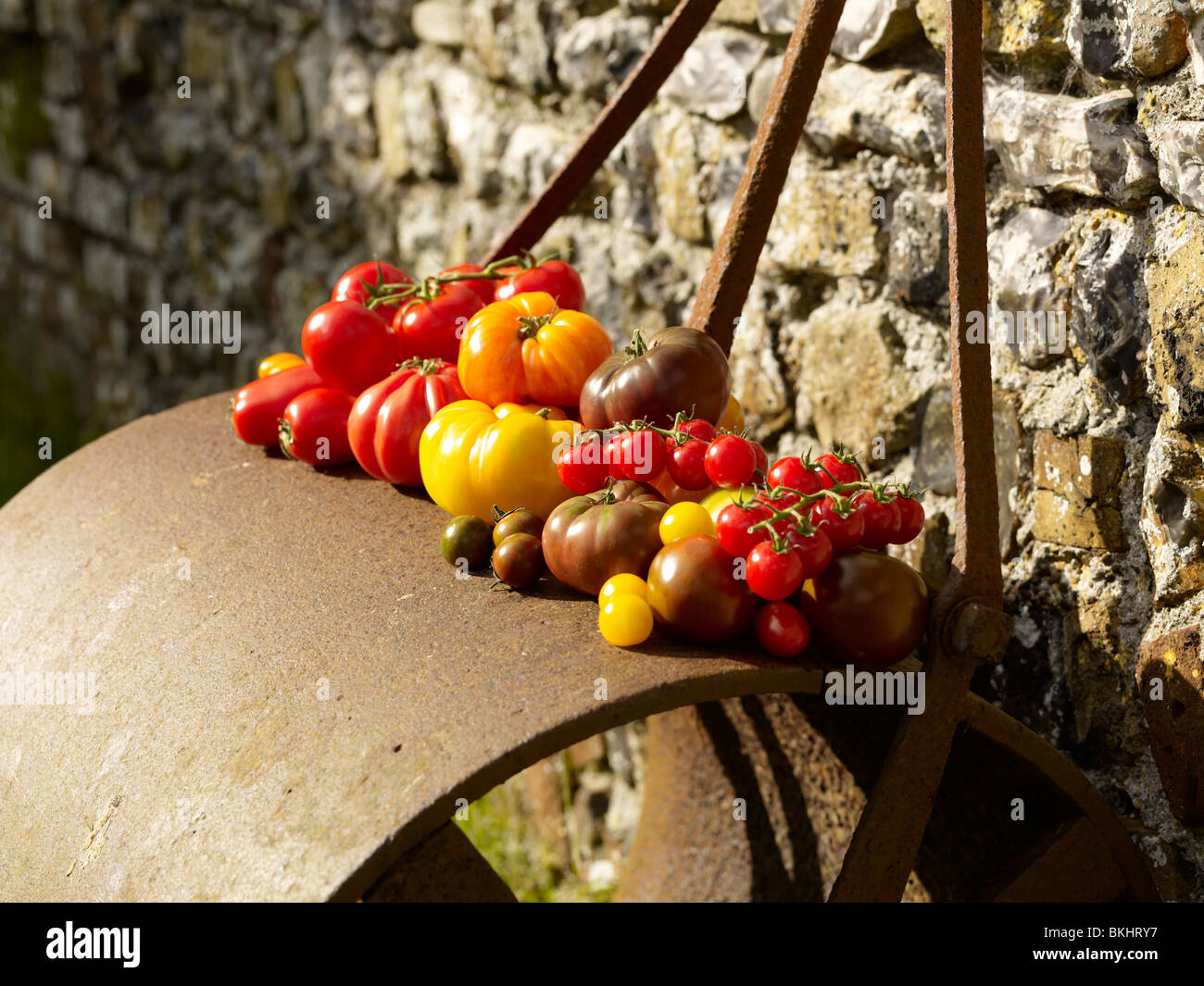 A seection of heirloom tomatoes outside on a garden roller Stock Photo ...