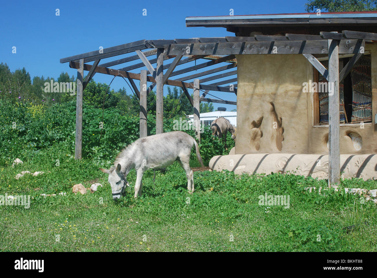 Israel, Ecological farm, House built from mud and reused materials ...