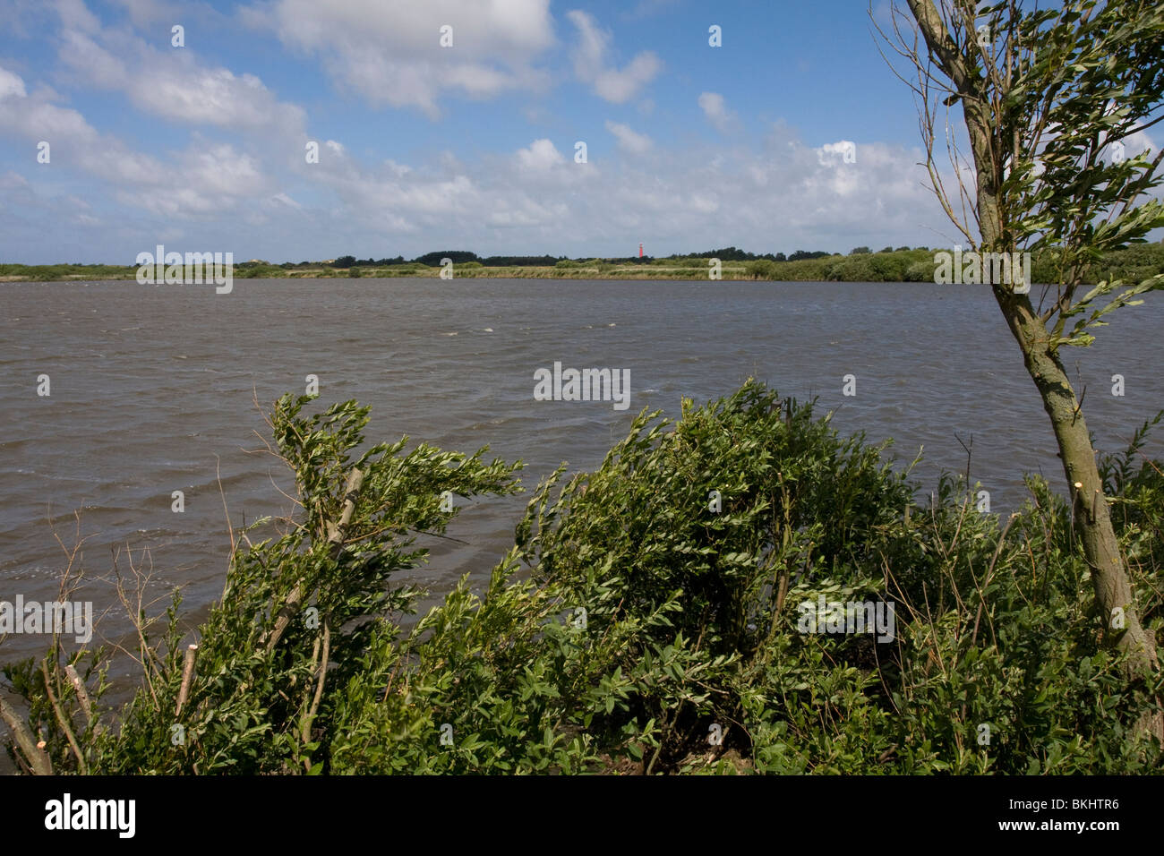 Westerplas hi-res stock photography and images - Alamy
