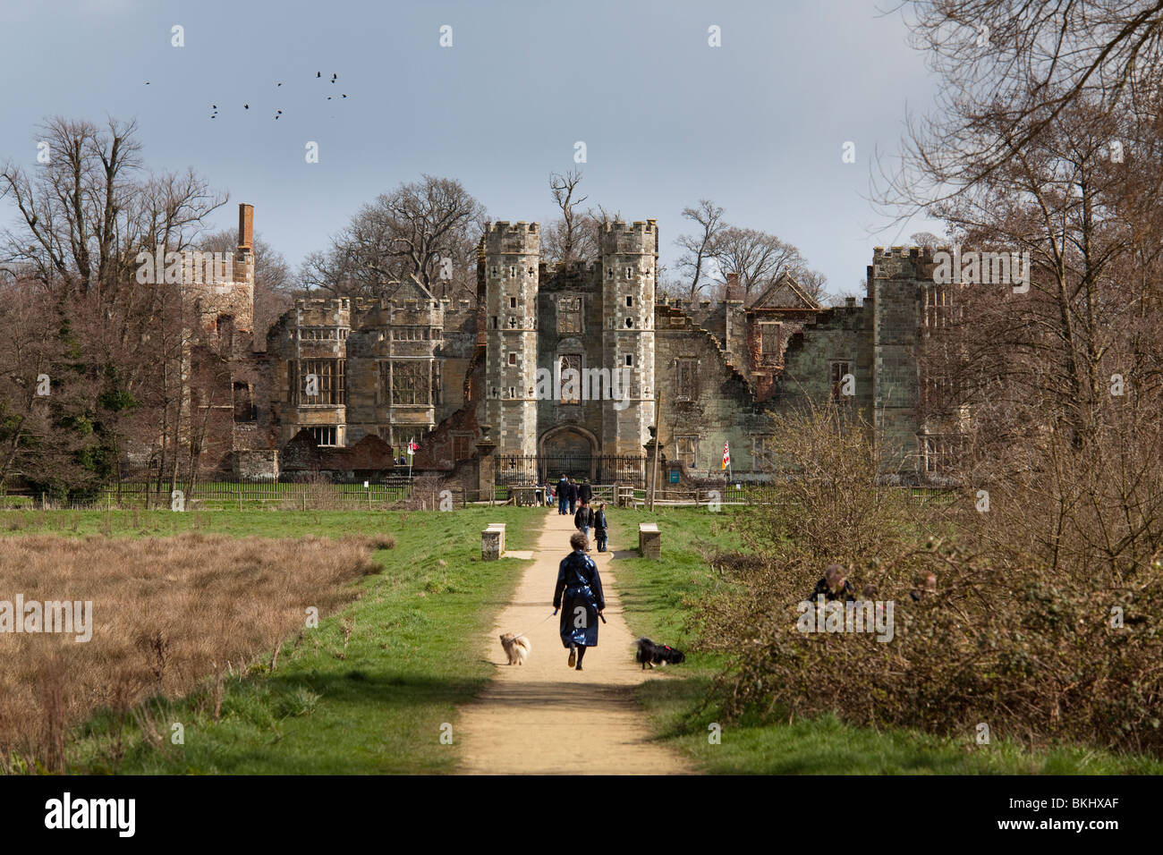 The ruins of Cowdray House at Midhurst. An historic tudor house Stock ...