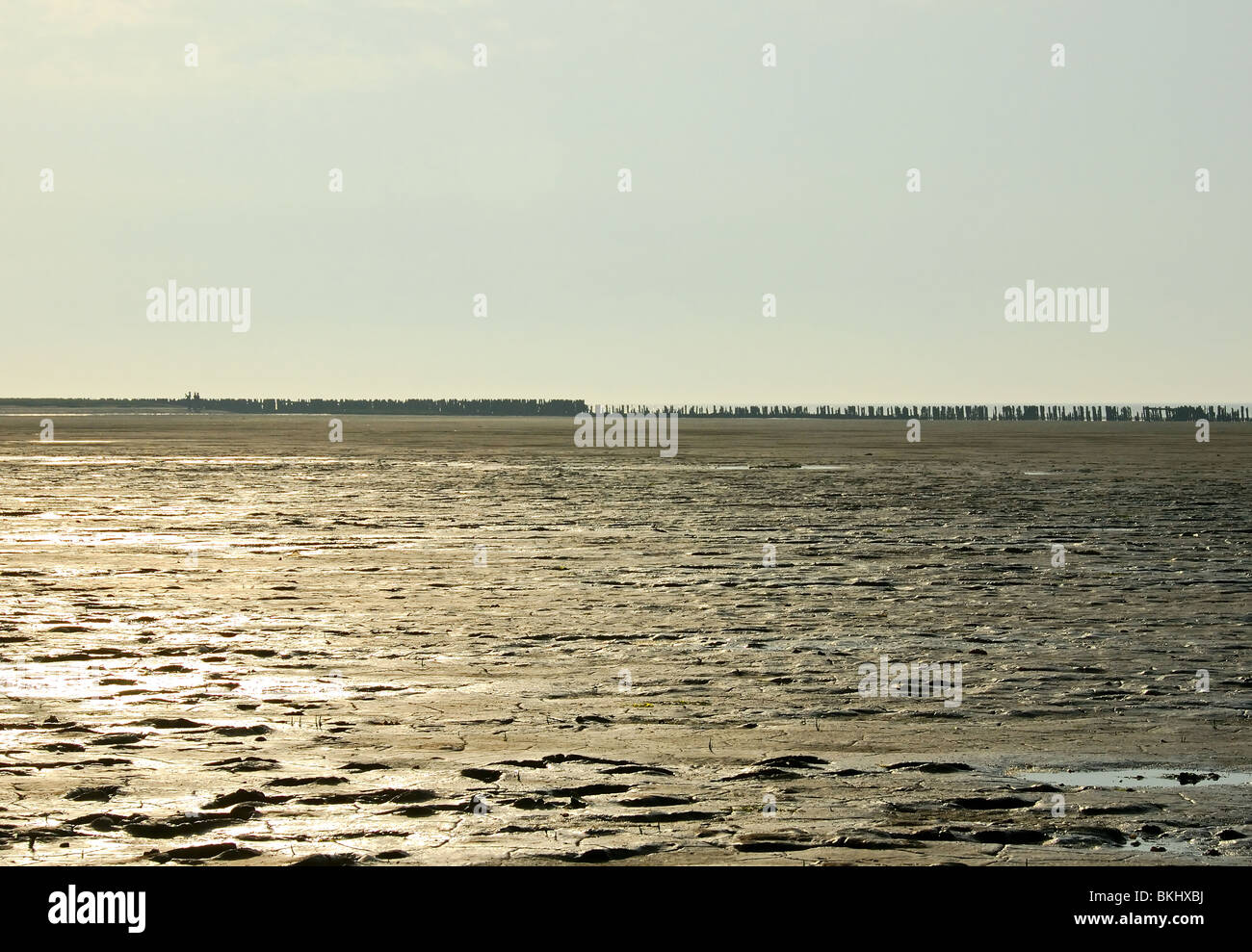 Dutch Wadden Sea during low tide Stock Photo - Alamy