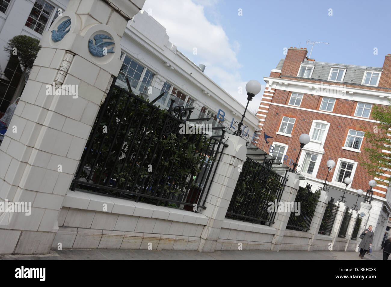 Bluebird chelsea hi-res stock photography and images - Alamy