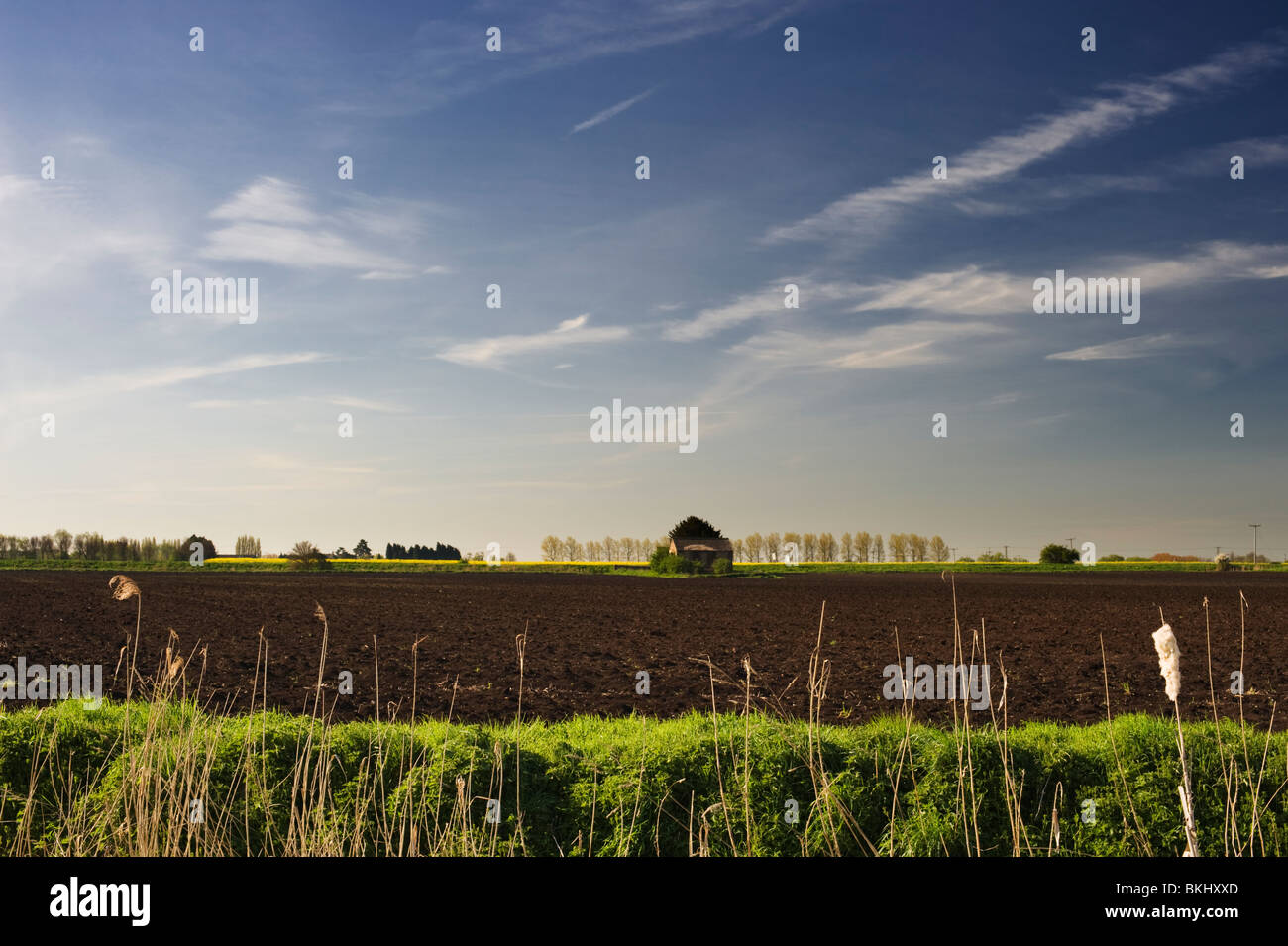 The Fens Cambridgeshire Stock Photos & The Fens Cambridgeshire Stock ...