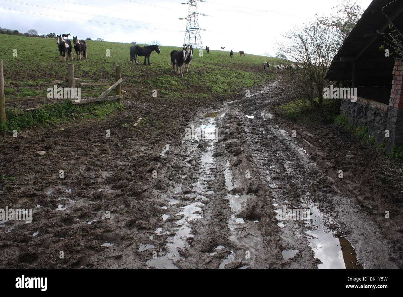 Mud ruts hi-res stock photography and images - Alamy