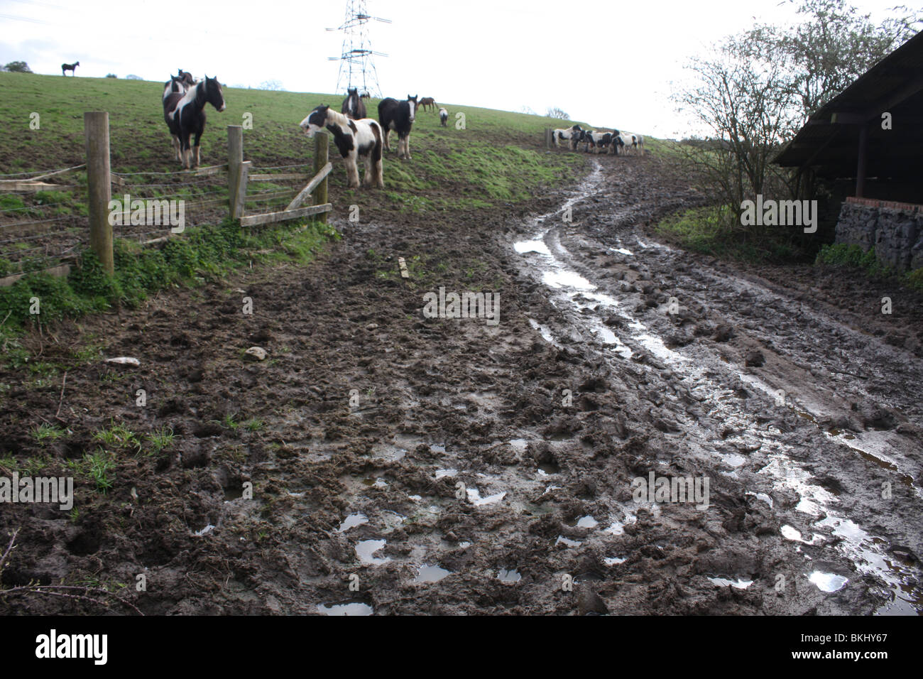 Mud Ruts Stock Photos & Mud Ruts Stock Images - Alamy