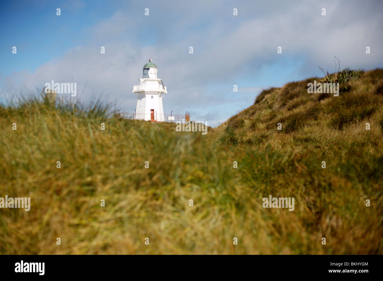 Waipapa Point Lighthouse, The Catlins, New Zealand Stock Photo - Alamy