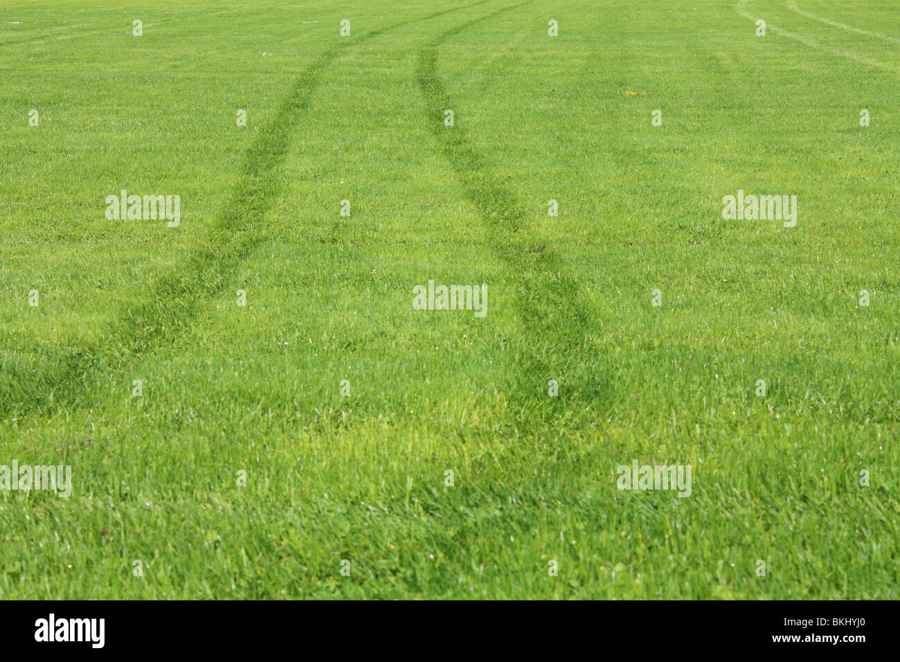 Track and field pictures hi-res stock photography and images - Alamy