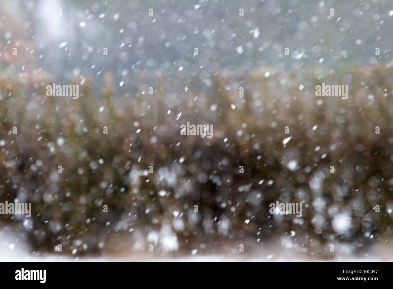 Winter precipitation hi-res stock photography and images - Alamy