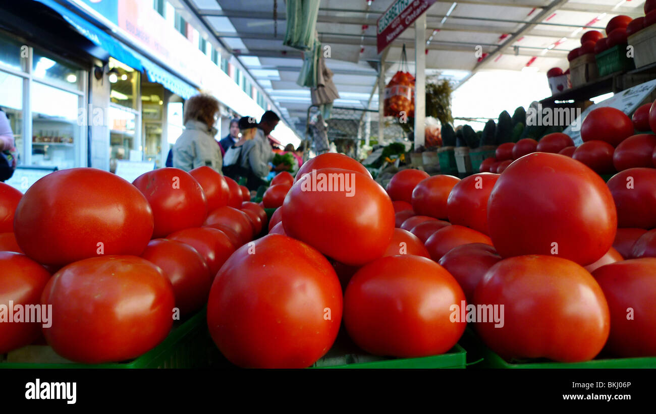 Hydroponic farm growing tomatoes hi-res stock photography and images ...