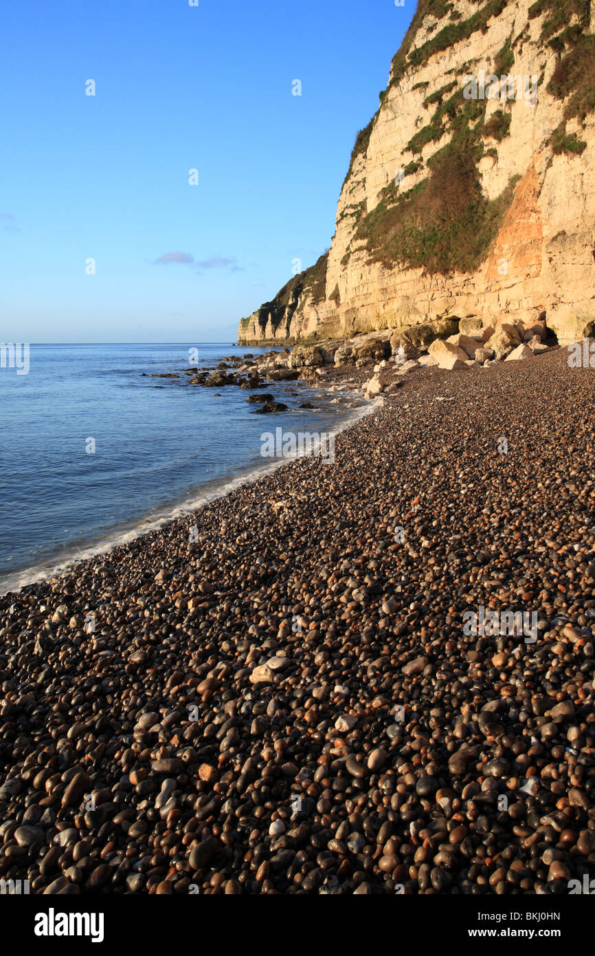 Beer, East Devon, England, UK Stock Photo - Alamy