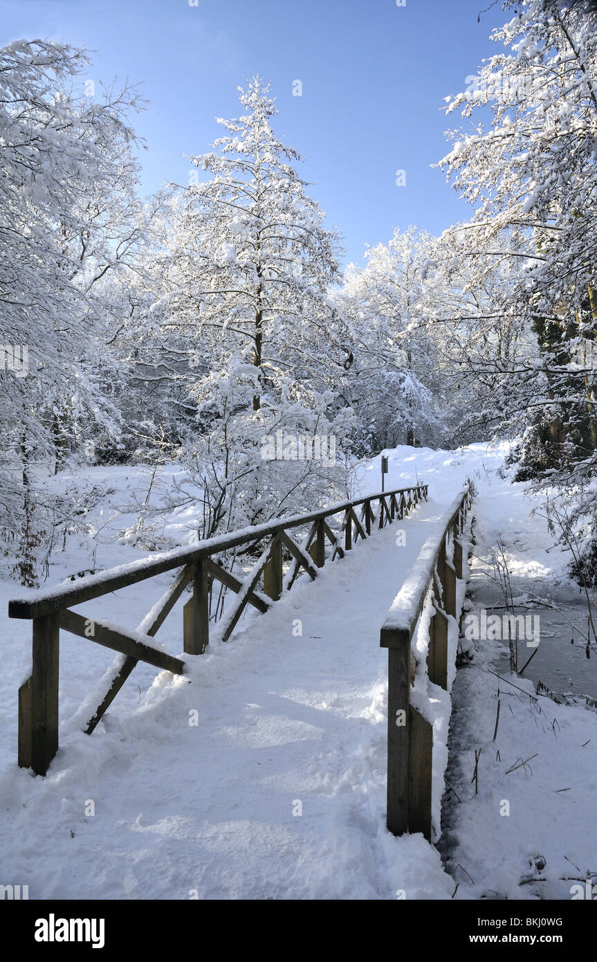 Thick bridge hi-res stock photography and images - Alamy