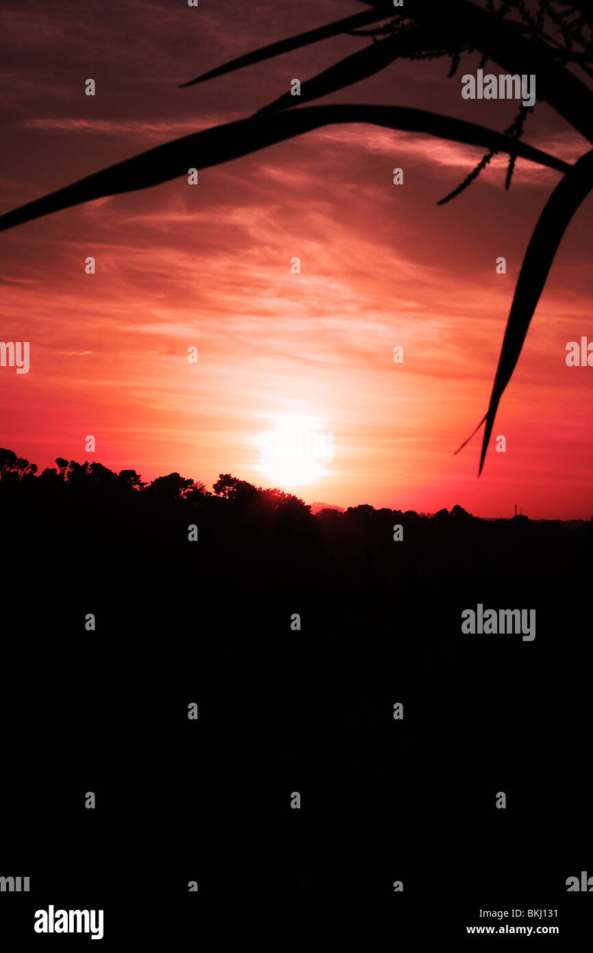 Red orange sunset hi-res stock photography and images - Alamy
