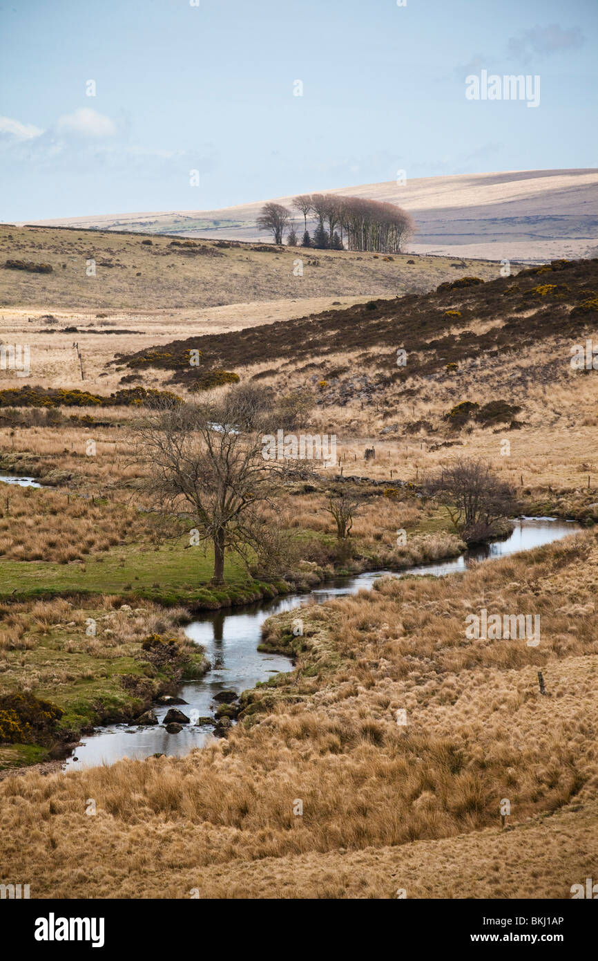 Moorland conservation peak district hi-res stock photography and images ...