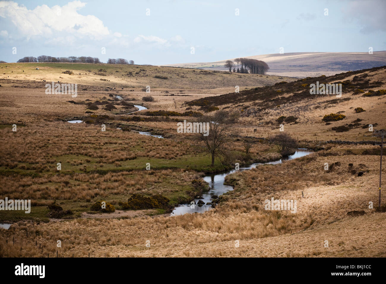 Moorland conservation peak district hi-res stock photography and images ...