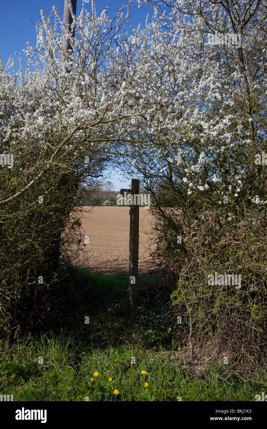 Designating Stock Photos & Designating Stock Images - Alamy