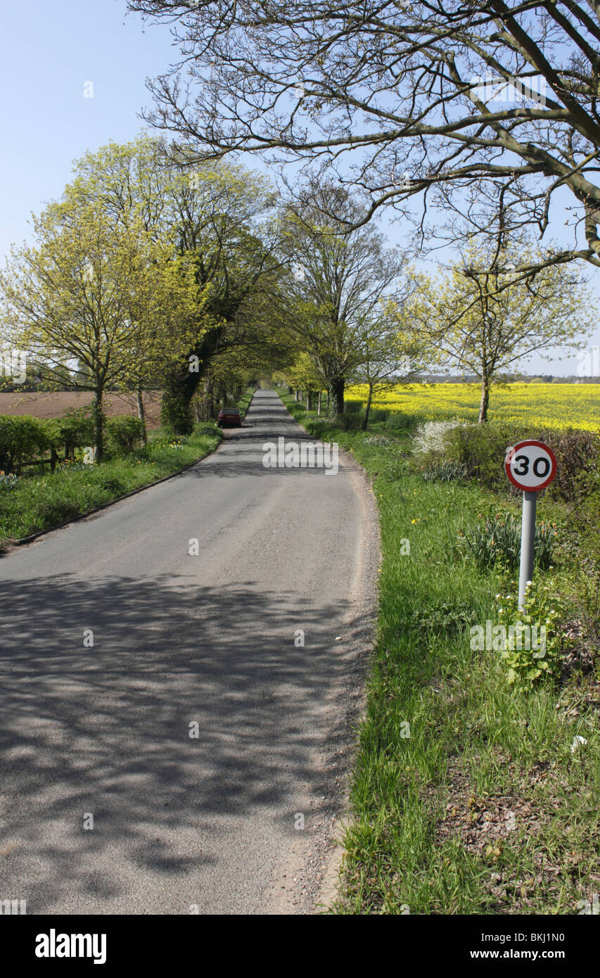 Spring country lane Shiplake Oxfordshire Stock Photo - Alamy