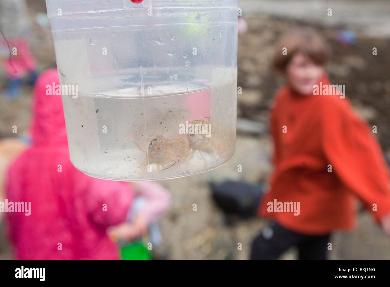 Cornwall fish hi-res stock photography and images - Alamy