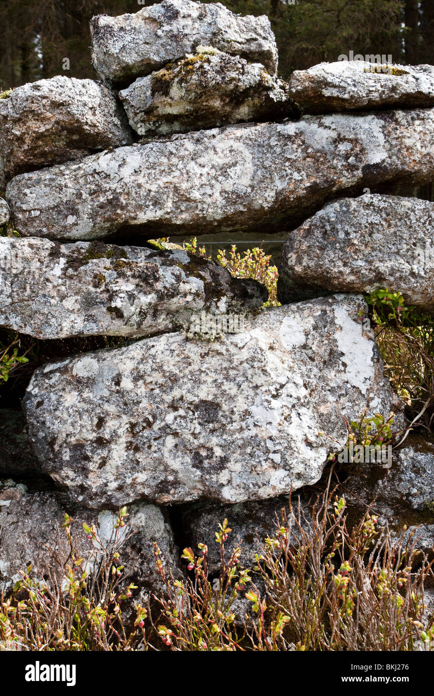Perimeter wall hi-res stock photography and images - Alamy