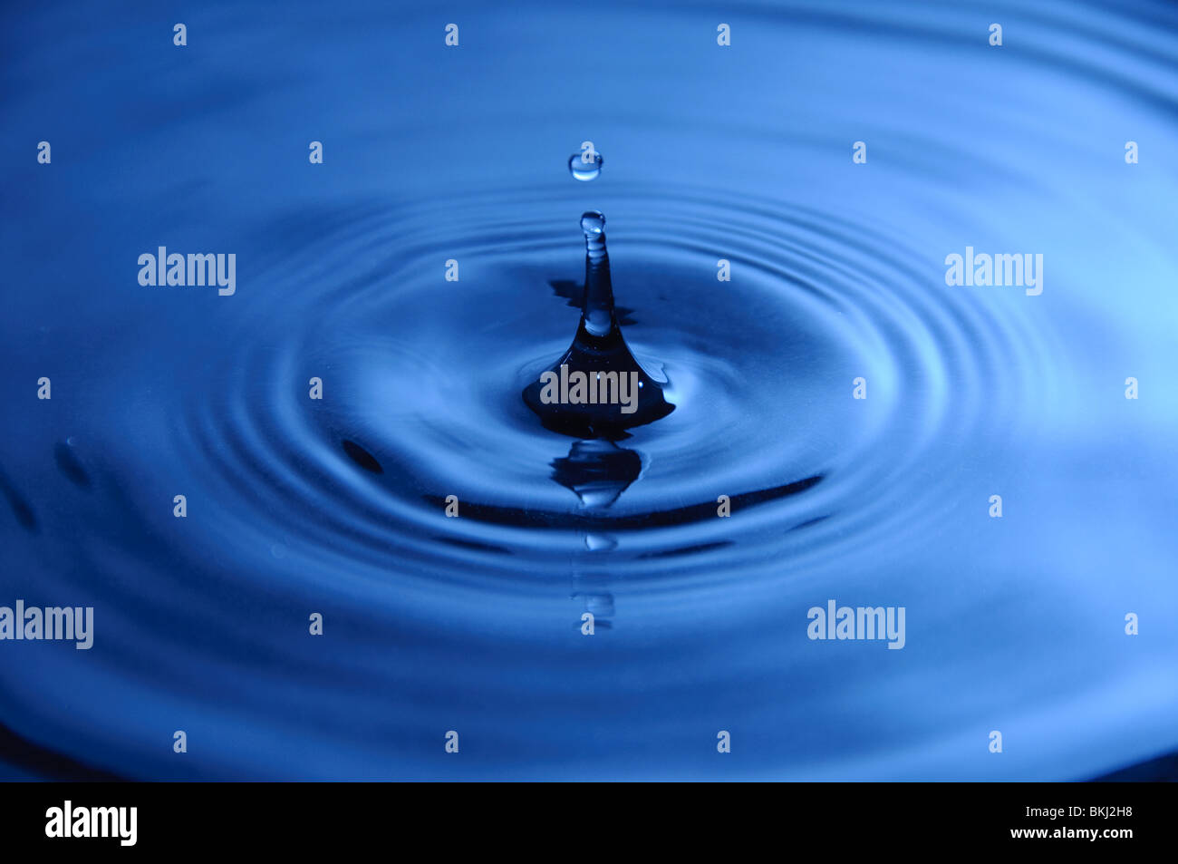 Single blue water drop creating column, ripple and reflection Stock ...