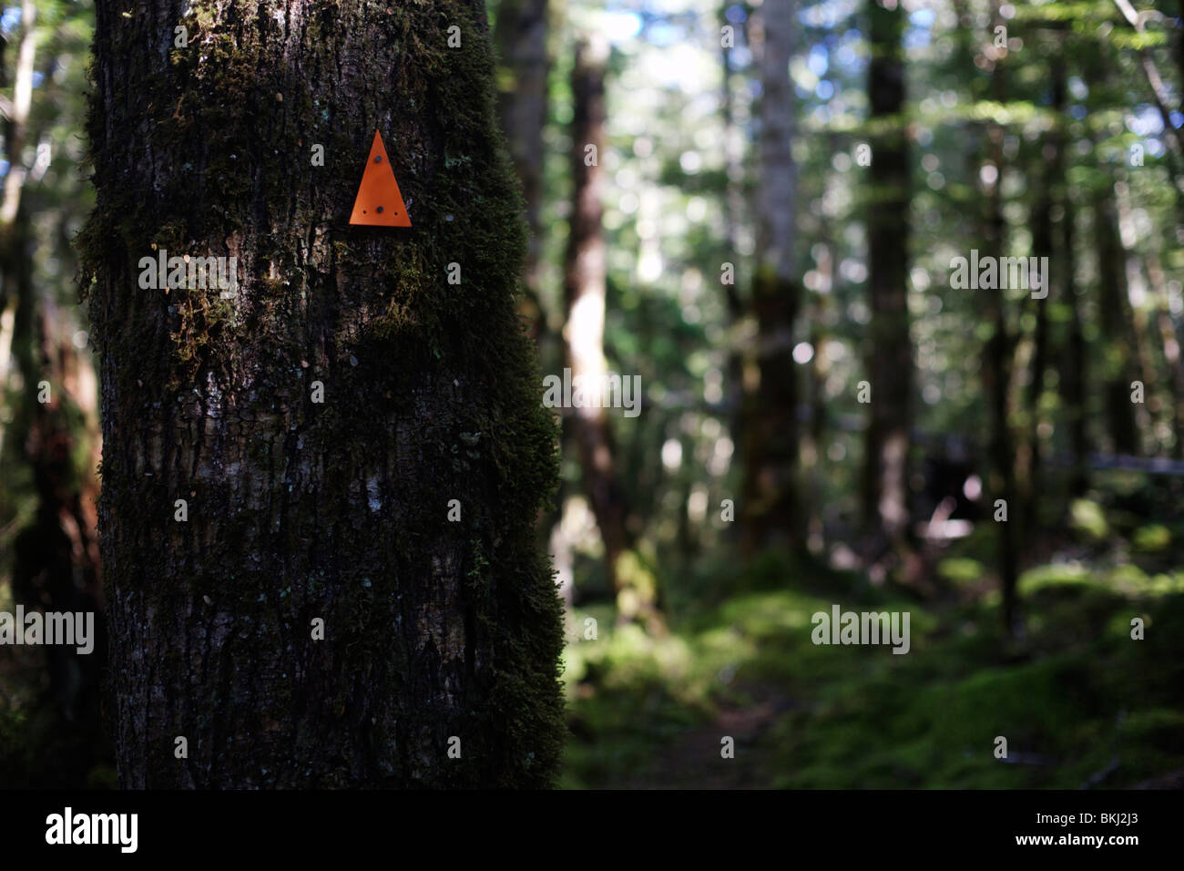 Ramble route marker hi-res stock photography and images - Alamy