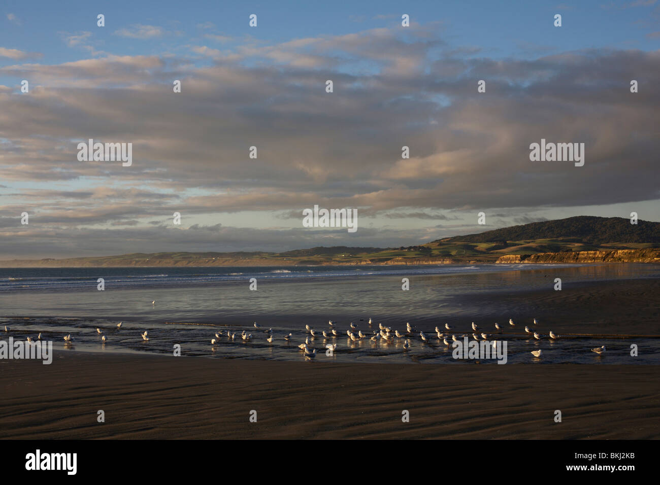 Monkey island beach hi-res stock photography and images - Alamy