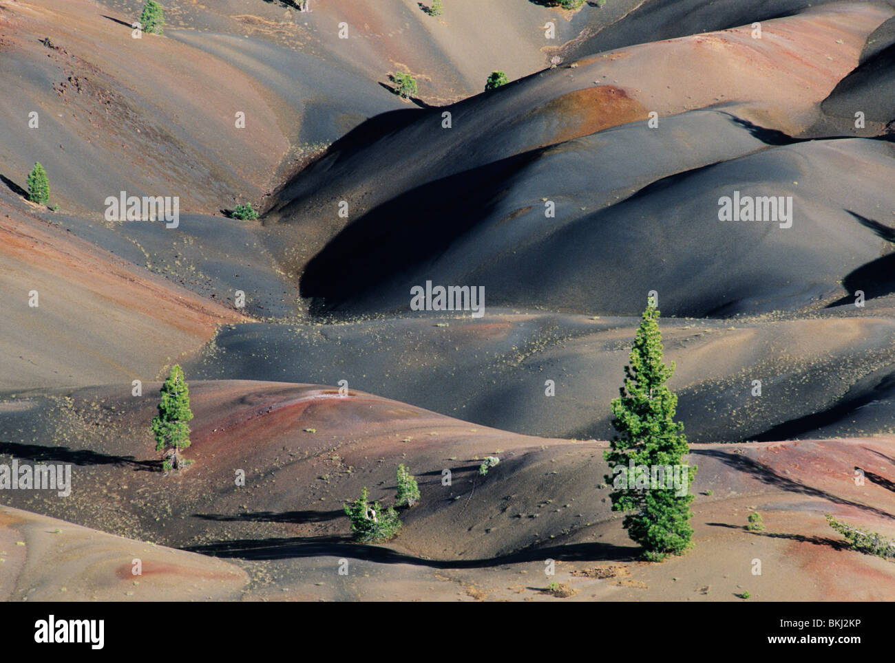USA, California, Lassen Park, Cinder Cone area, Painted Dunes ...