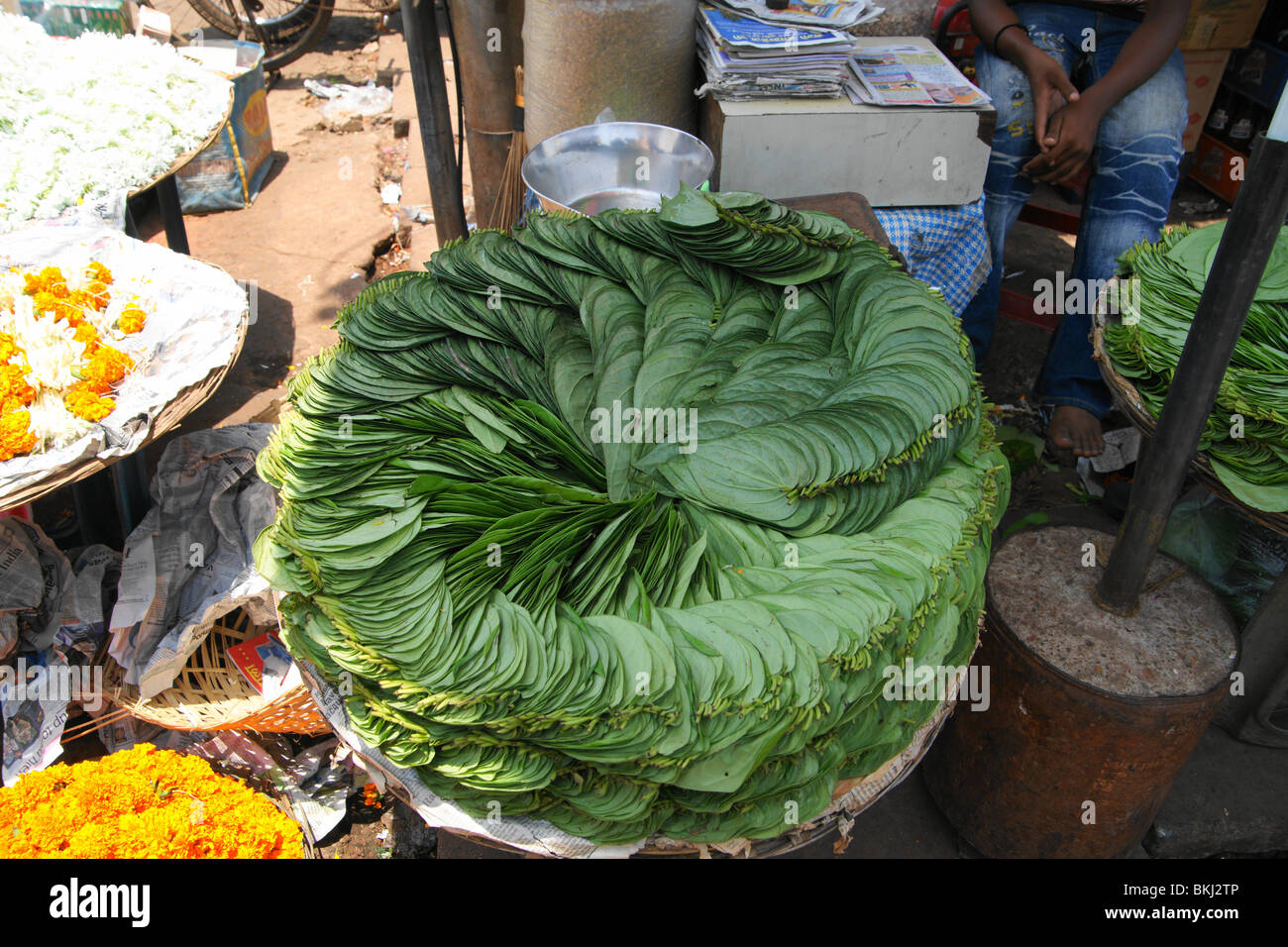 Mapusa hi-res stock photography and images - Alamy
