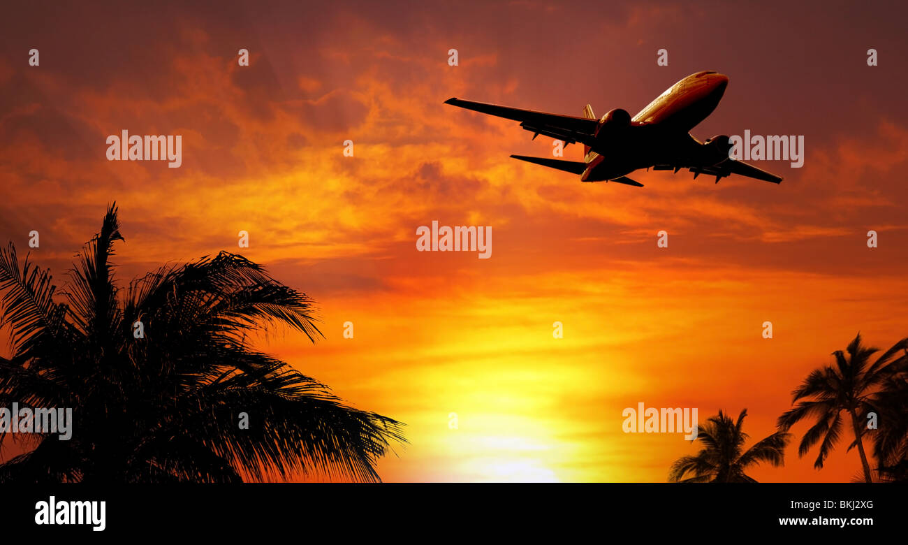 Airplane at sunset with palm trees and sun hi-res stock photography and ...