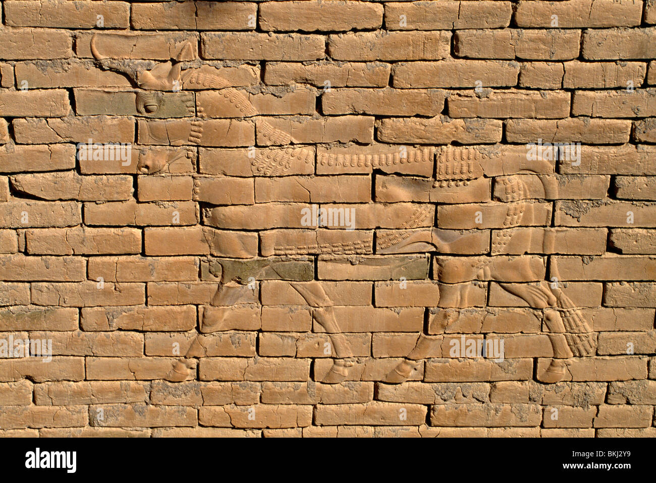 Babylon Iraq Western Wall Of The Lower Ishtar Gate Bull Relief Symbol ...