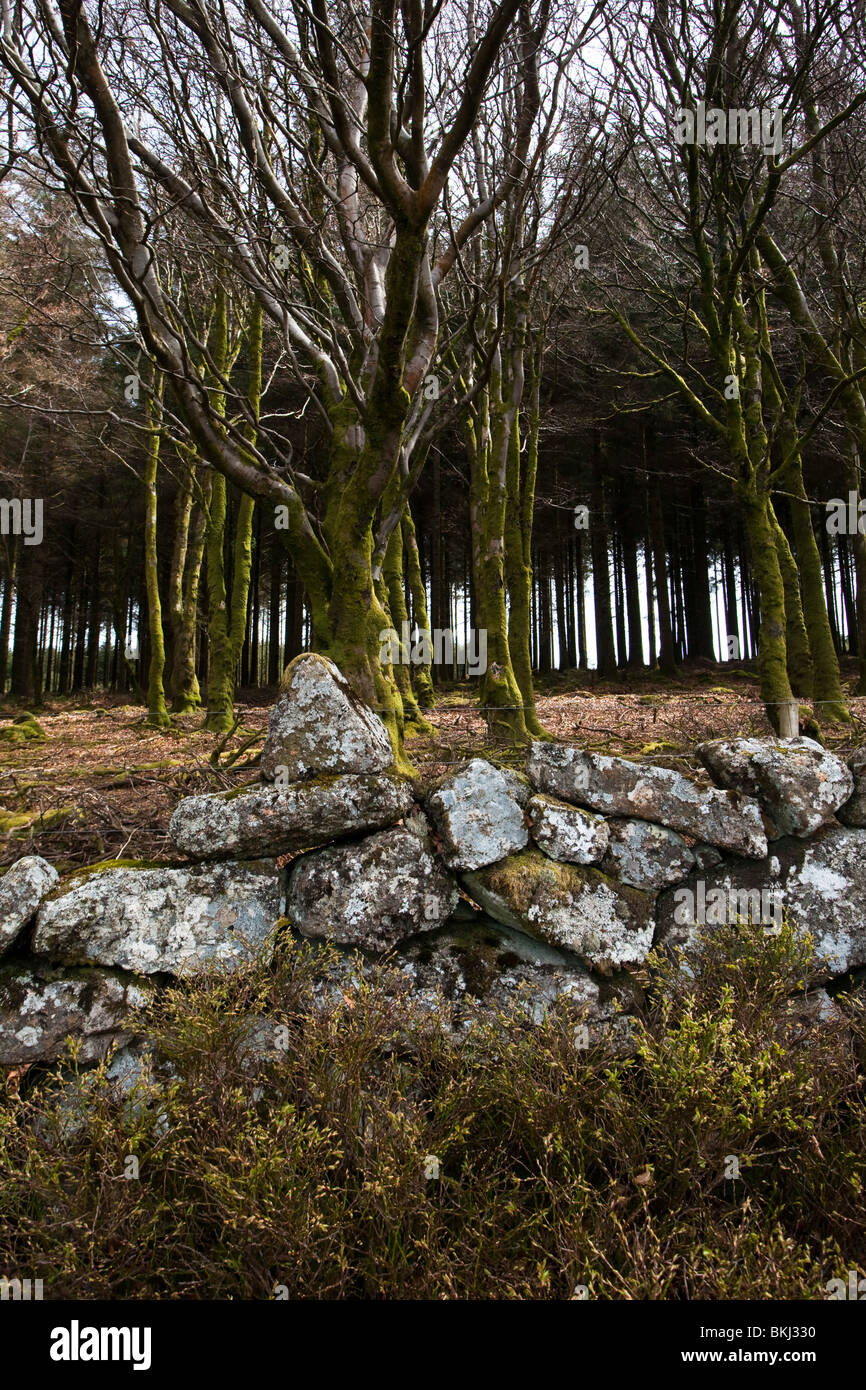 Perimeter wall hi-res stock photography and images - Alamy