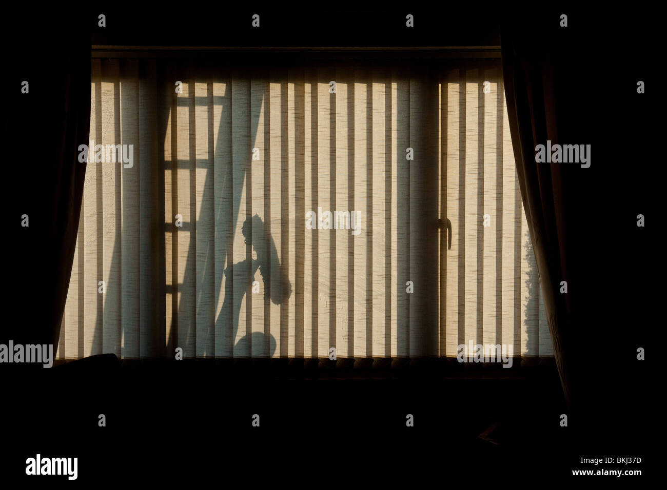 Silhouette of a window cleaner, Sheffield, England Stock Photo - Alamy