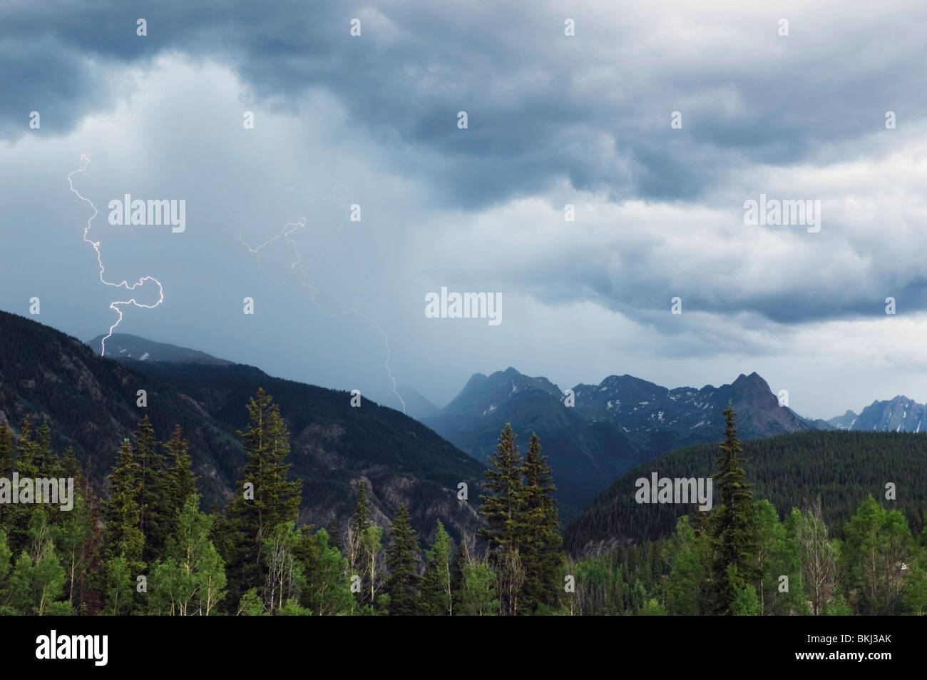 Bolts lightning in forest hi-res stock photography and images - Alamy